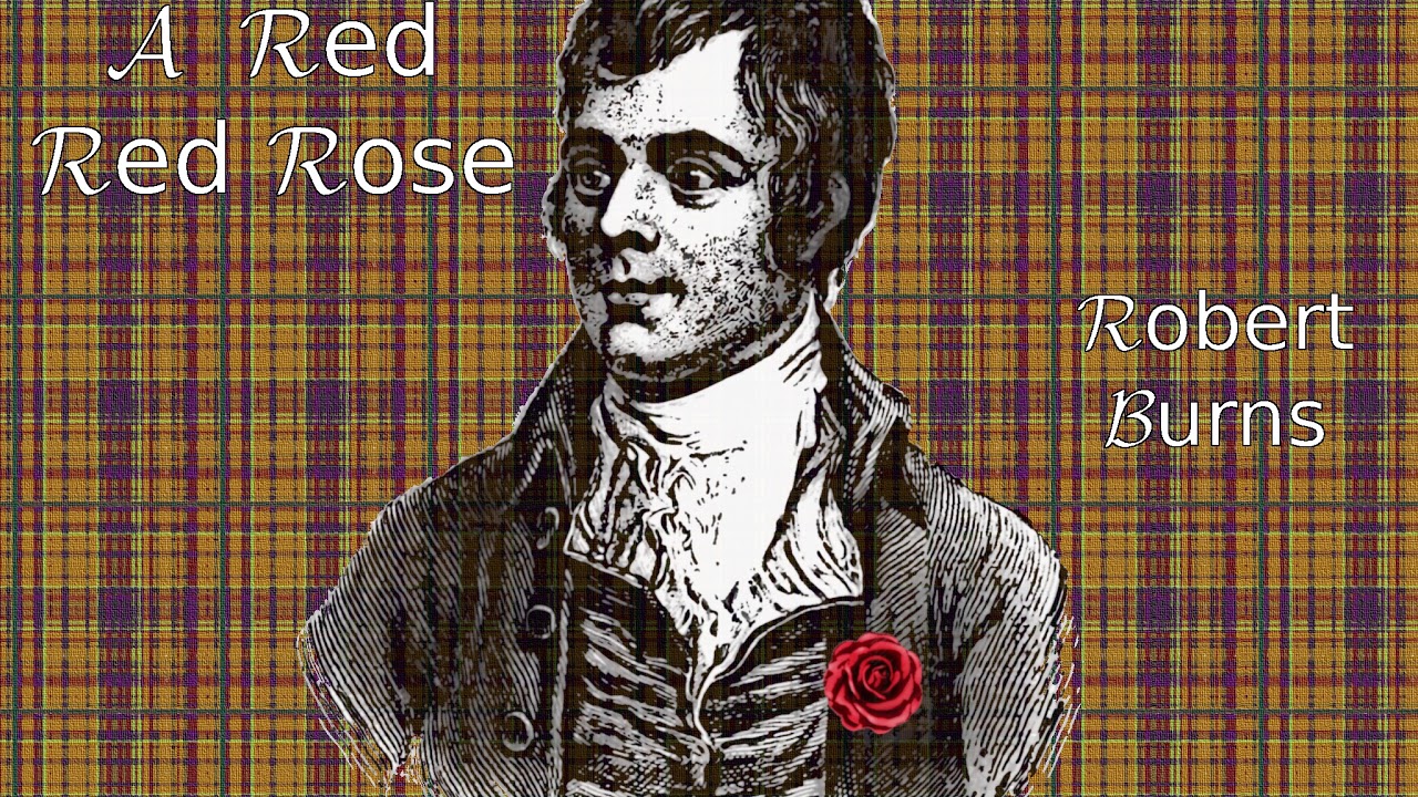 Robert Burns - A Red Red Rose | Piano Cover - YouTube