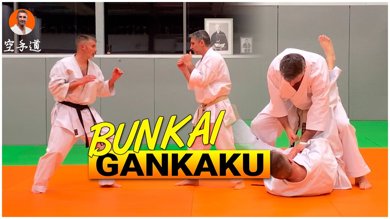 Bunkai Gankaku - Manji Kamae - KARATE - YouTube