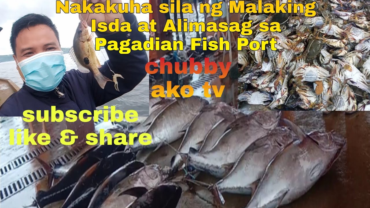 Big Tuna or Barilis and crabs at Pagadian Fish Port & Pagadian ...