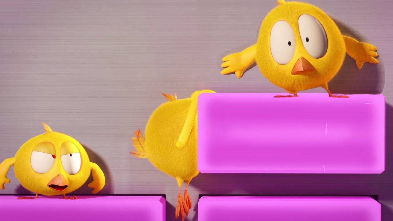 Where's Chicky? 🐥 The Obstacle Course | A Xilam Series | Xilam TV - YouTube