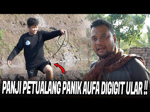 AUFA DIGIGIT ULAR‼️PANJI LANGSUNG AMBIL TINDAKAN