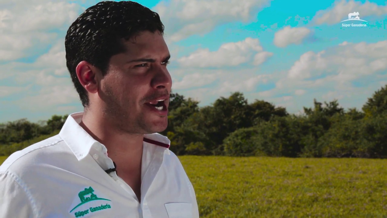 Togar™ Max Recupera tu Pastizal - YouTube