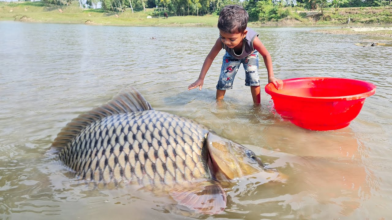 Amazing Big Fish Catching By Hand 2023 | Traditional Big Fish Catch By ...
