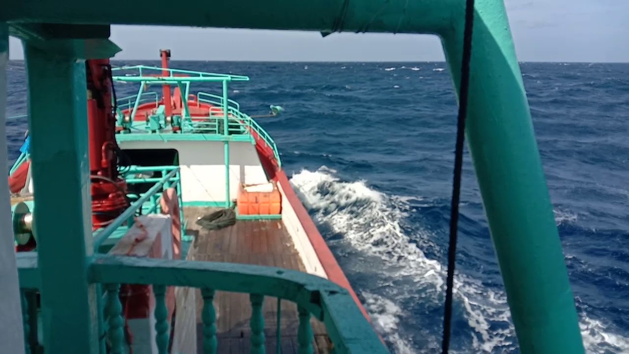 Aktivitas di kapal setiap hari melihat ombak, oleng kapten - YouTube