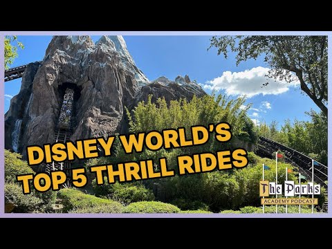 Top 5 Disney World Thrill Rides - Walt Disney World Fast Rides ...