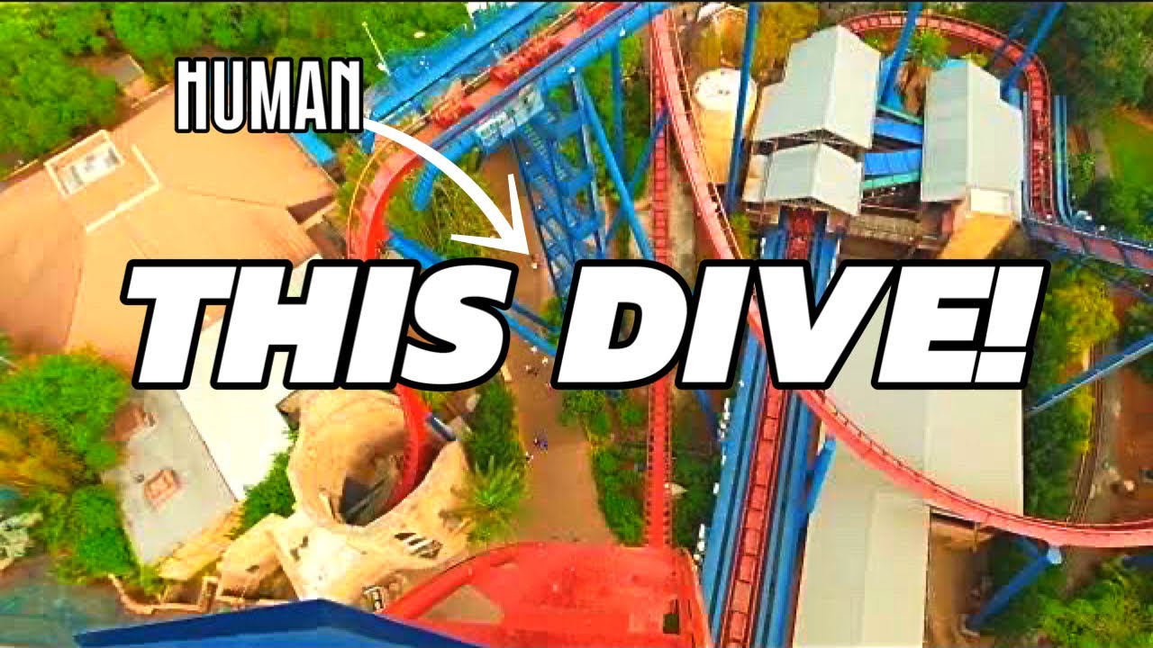 Riding SheiKra: The Ultimate Thrill Ride at Busch Gardens Tampa - YouTube