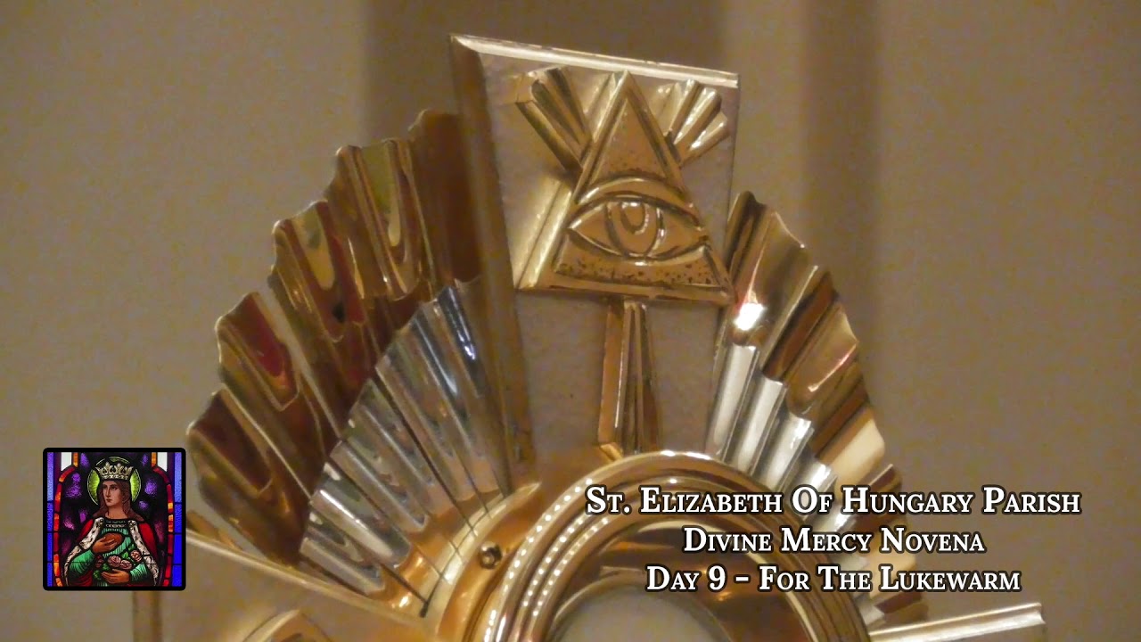 St. Elizabeth of Hungary - Divine Mercy Novena: Day 9 - YouTube