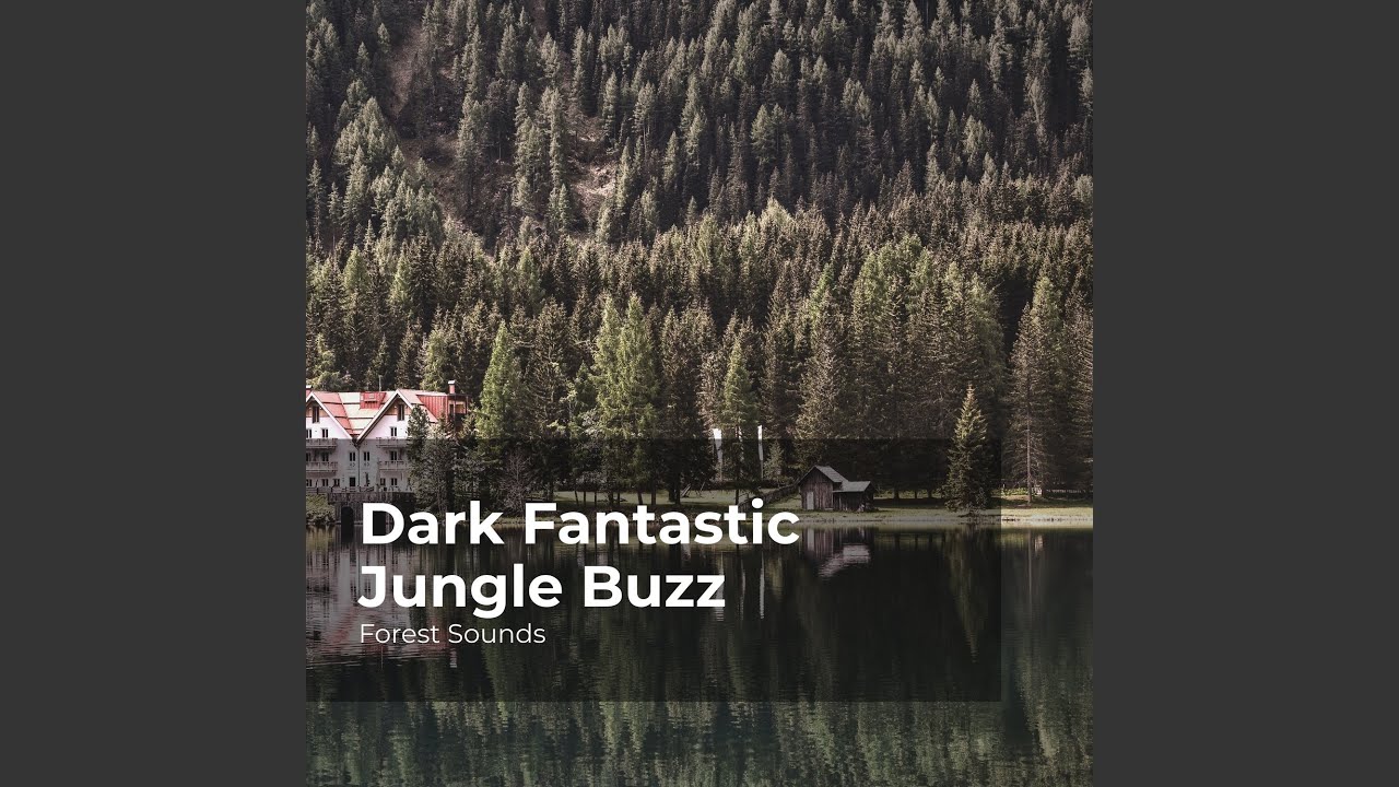 Rainforest Soundscape - YouTube