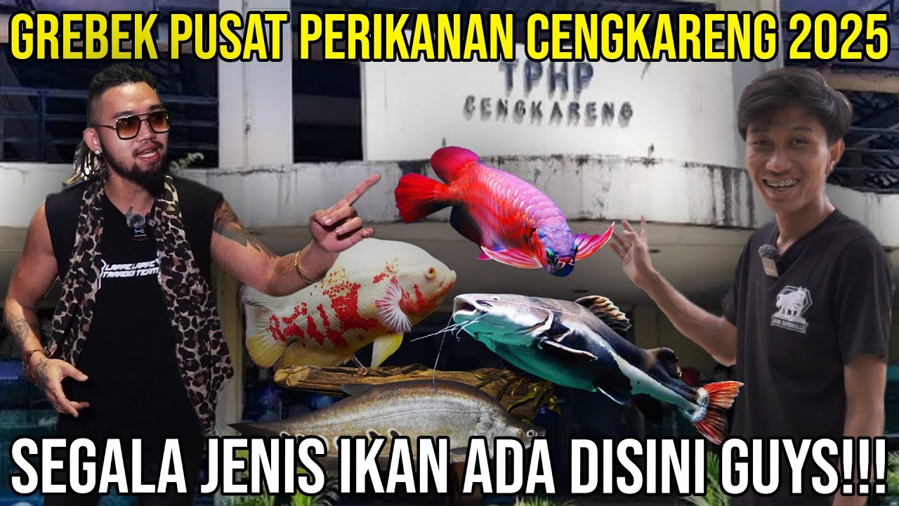 GREBEK PUSAT PERIKANAN CENGKARENG 2025. SEGALA JENIS IKAN ADA DISINI ...