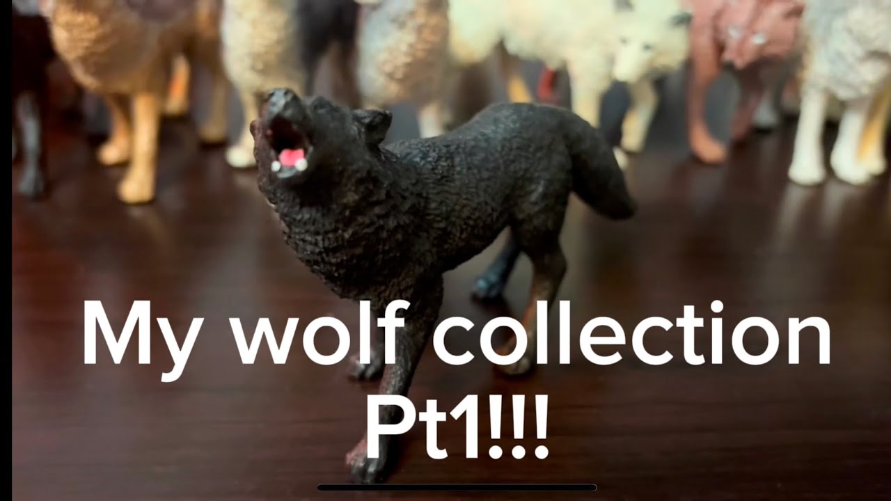 My wolf collection!! Pt1 - YouTube