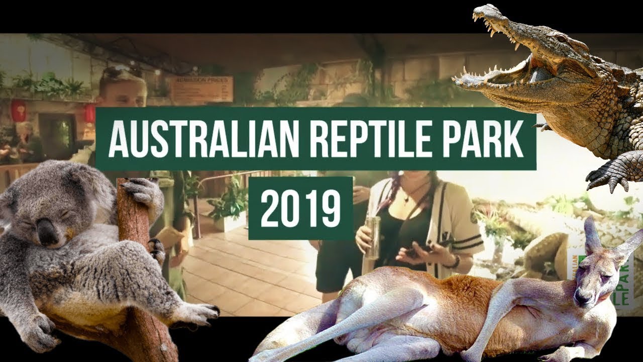 STARBITZYCHAN - Australian Reptile Park Visit - YouTube