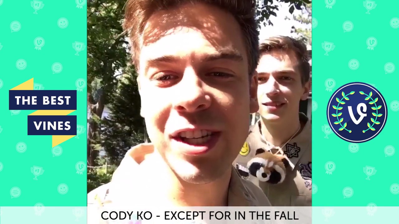 Best Vines of November Vine Compilation 2016 - YouTube