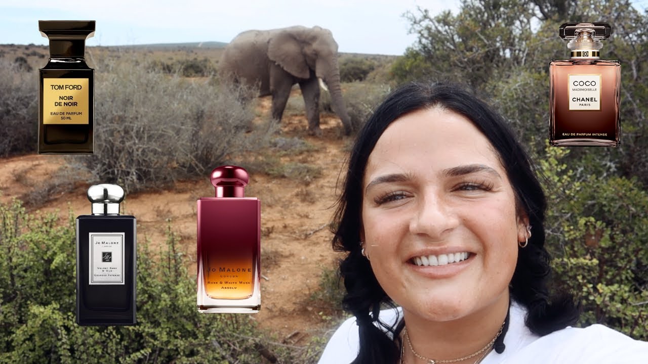 UNBOX NEW PERFUMES & COME ON SAFARI WITH ME! 🐘 BIRTHDAY VLOG 🎂 ...
