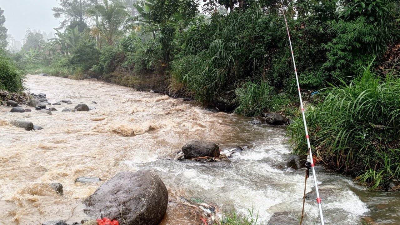 Mancing di hari Sabtu 16 NOV.Boy angler sedang live sekarang! - YouTube