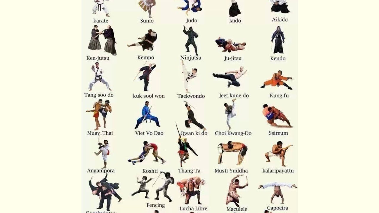Warrior Class: Sport vs. Combat; Art vs. Science - YouTube