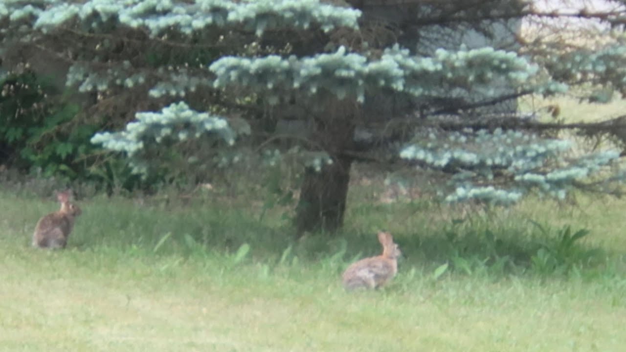 We have visitors today (Day 173) - YouTube