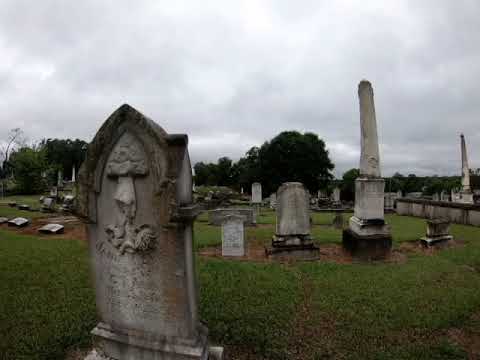 The gypsy king and queen, Emil and Kelly Mitchell - YouTube