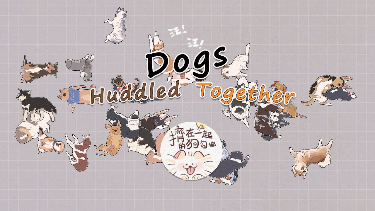 【Dogs Huddled Together】狗勾～這裡有好多可愛的狗勾～狗勾！《擠在一起的狗勾》 - YouTube