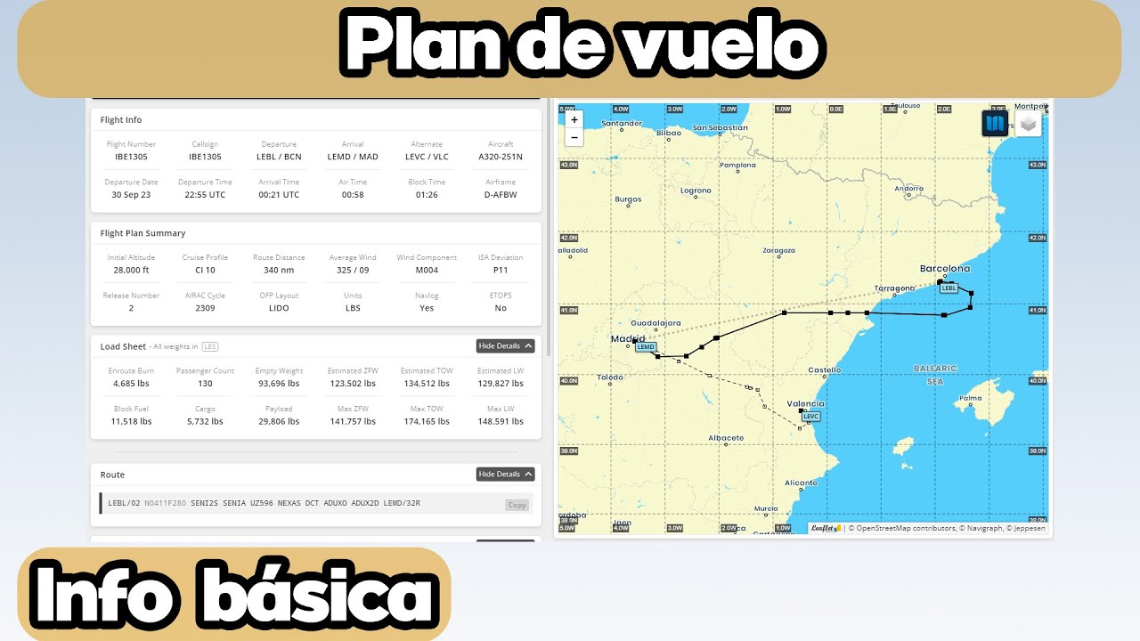 ️ Información básica ️ Plan de vuelo - YouTube