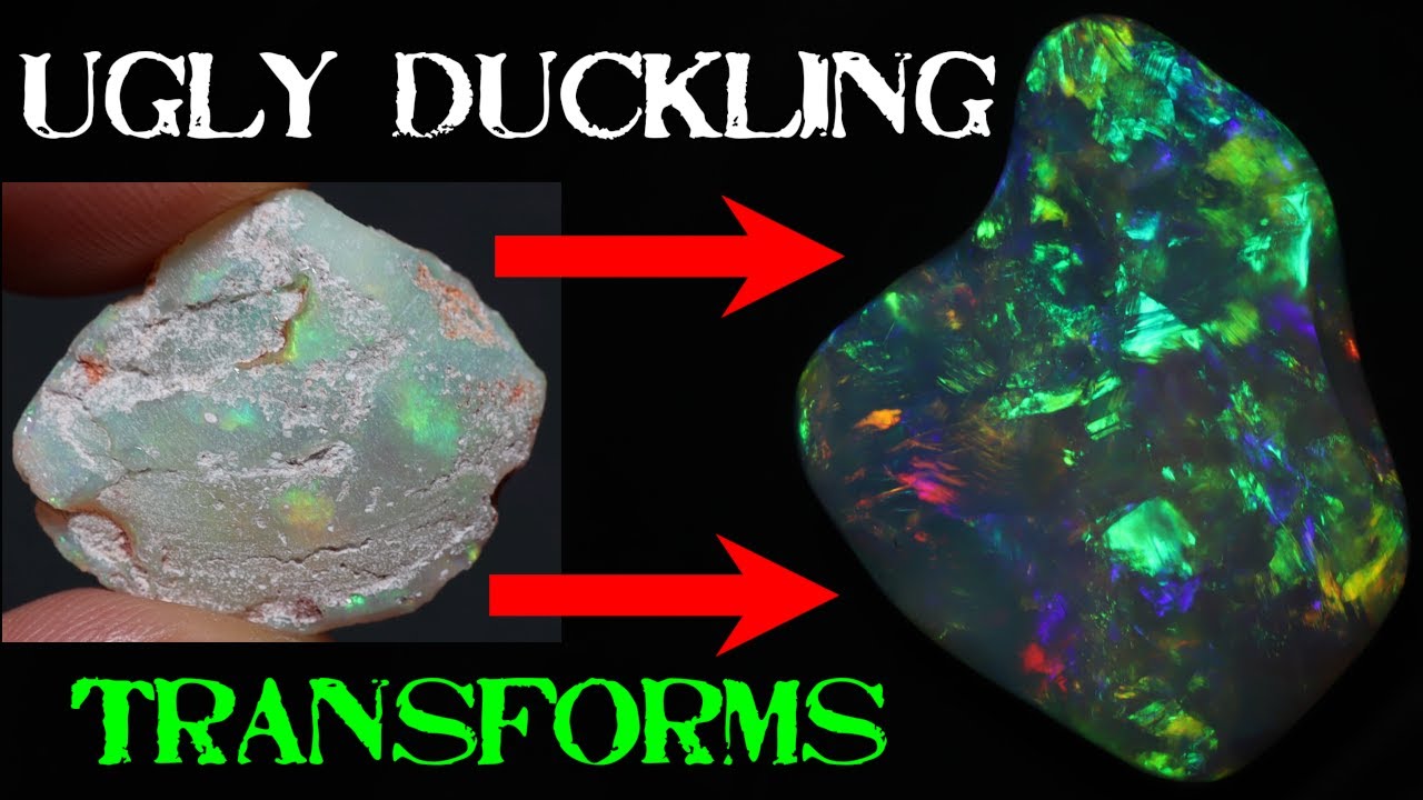 HUGE Transformation! Shattered Gem Opal Shell Meet The Dremel. Carving ...