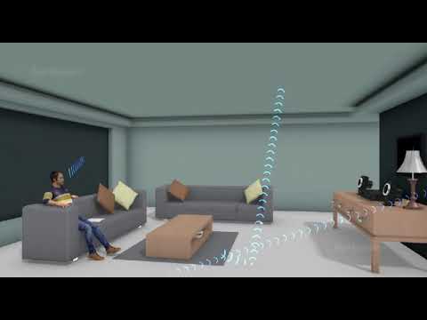 what is an Echo |3D-Animation | #science #chemistry #neet #3danimation ...