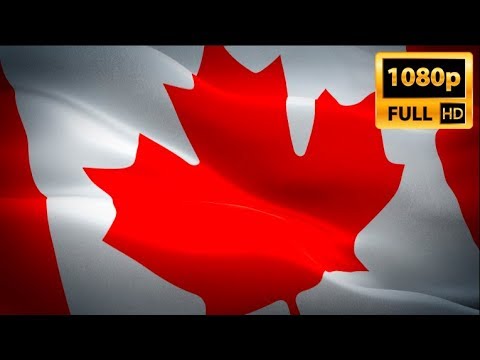 Canada Flag Wave Loop waving in wind. Realistic Canadian Flag ...