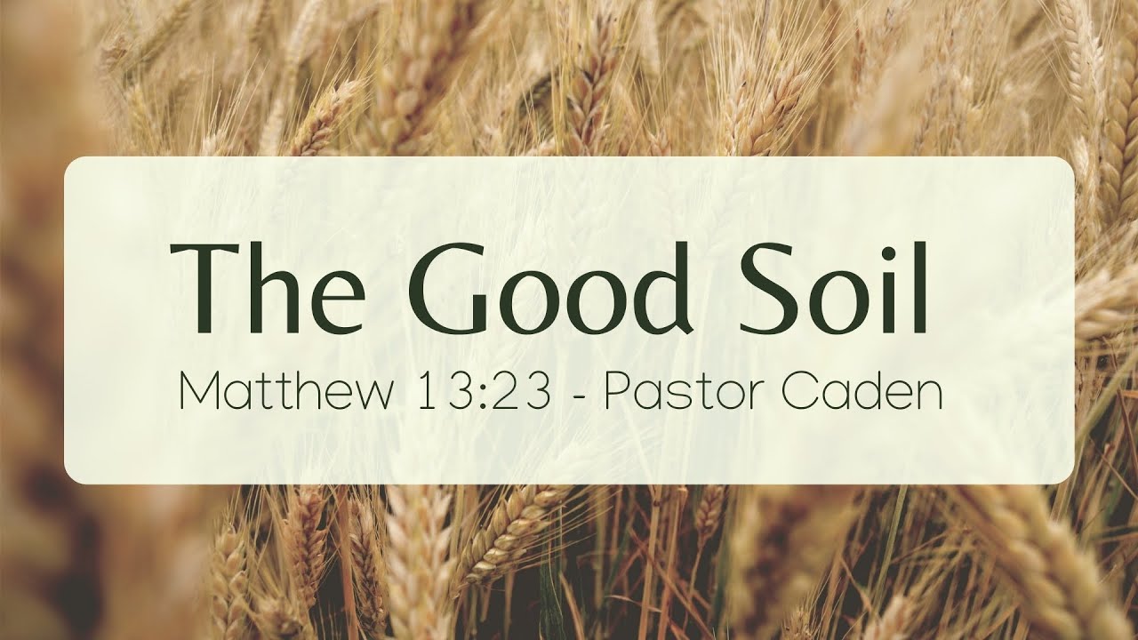 Good Soil Bible