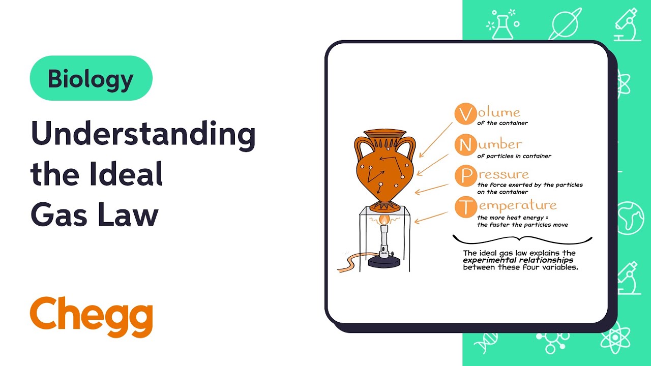 Understanding the Ideal Gas Law | Biology - YouTube