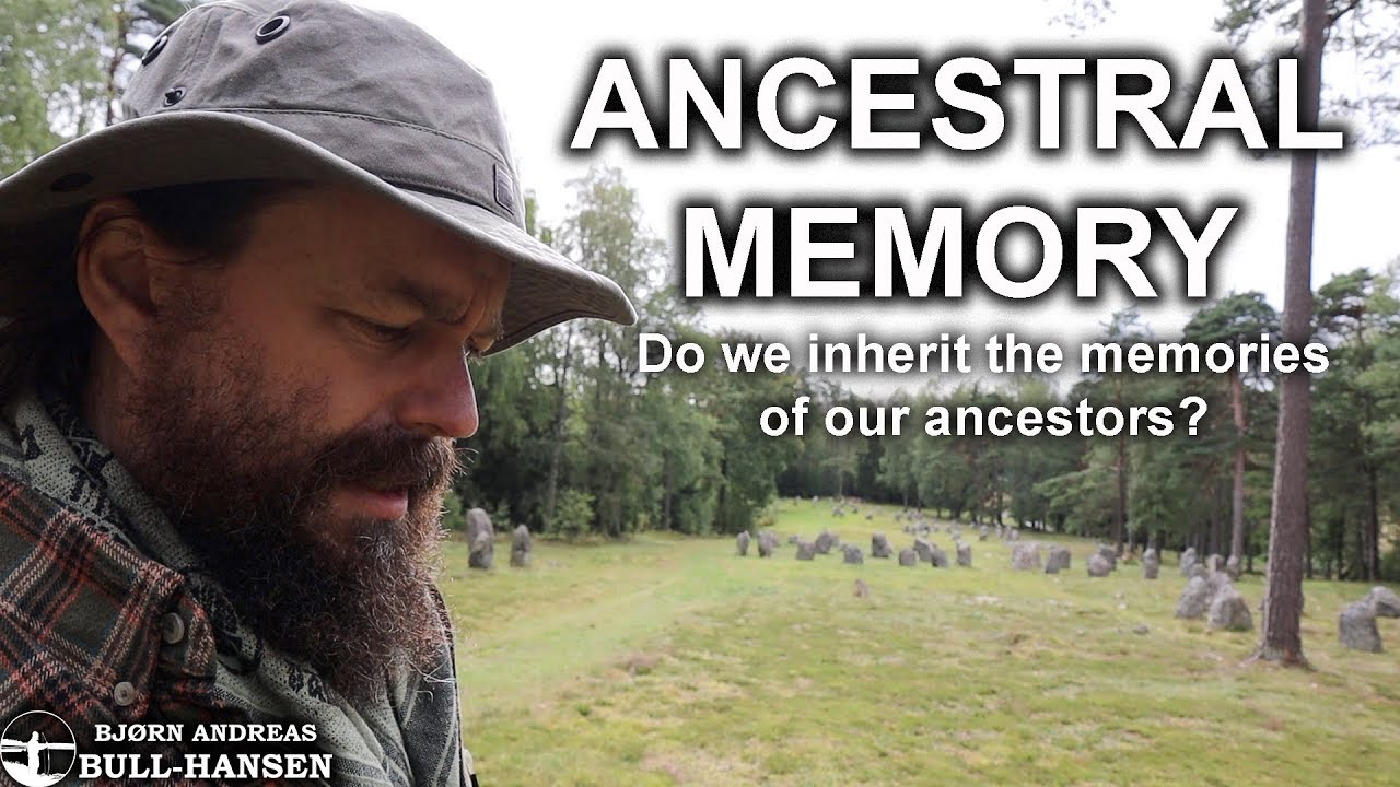 Do We Inherit Our Ancestors' Memories? Epigenetics and Genetic Memory ...