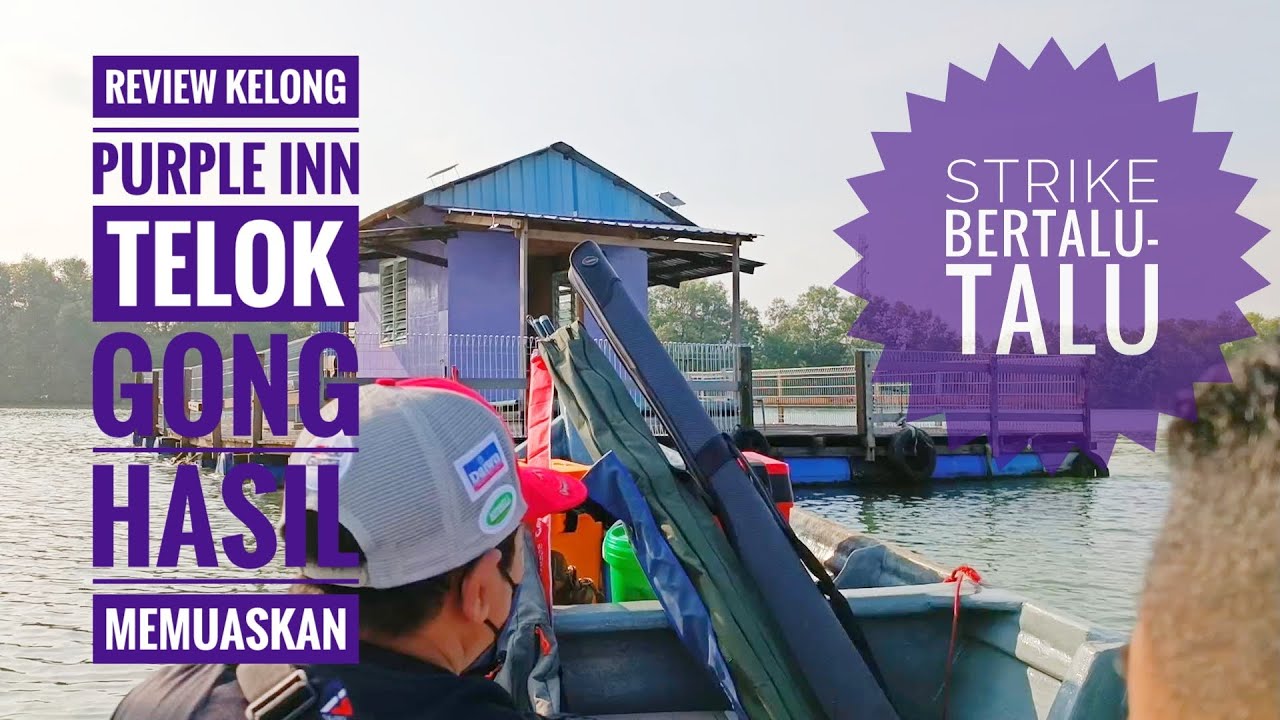 review kelong purple inn 🟣🟣🟣 telok gong, banyak ikan kelong ni. - YouTube