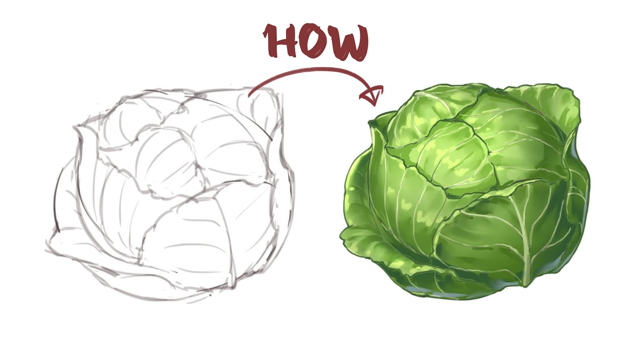 Learn to Draw PERFECT Kale in Photoshop - Beginner Friendly Tutorial ...