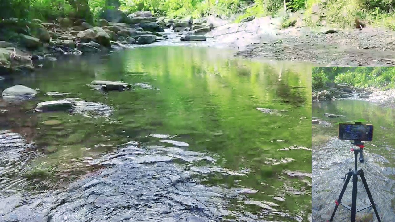 gurgling water in river, natural soundin middle of forest - YouTube