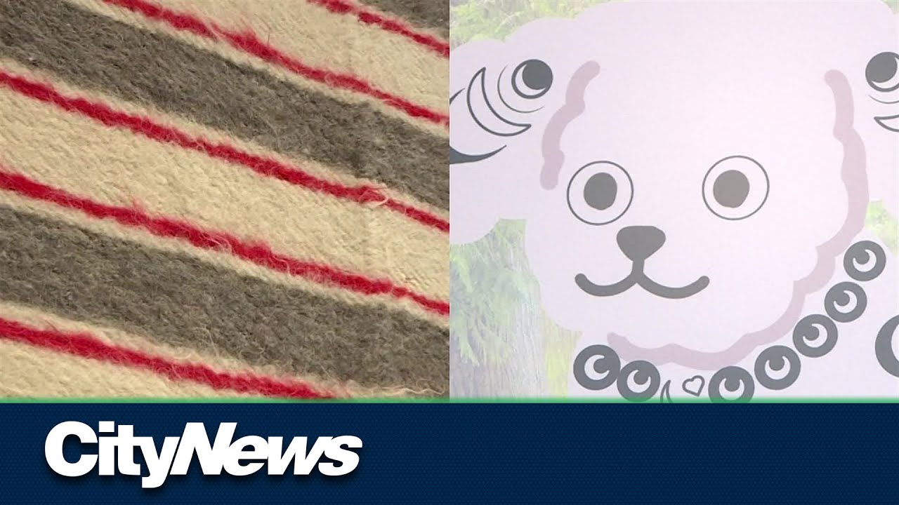 The truth of why the Salish Woolly Dog went extinct - YouTube