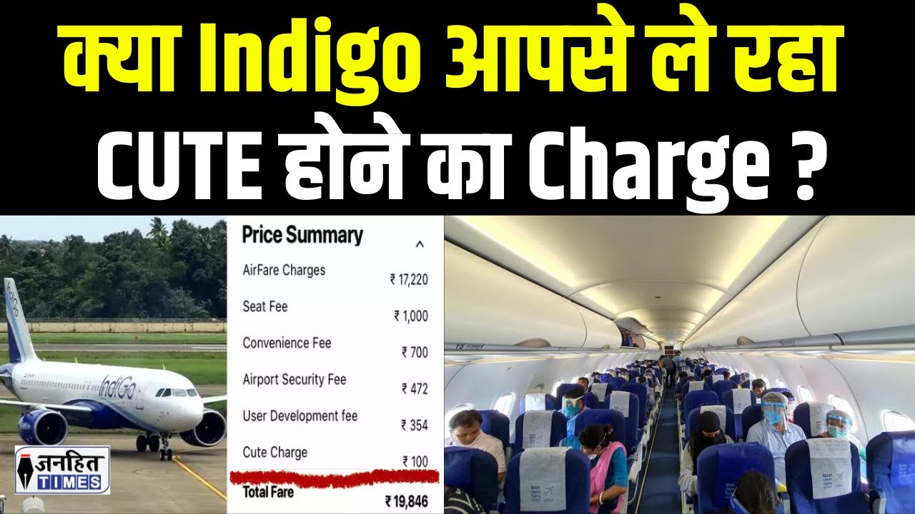 What Is Cute Charge: Indigo ने लगाया 'Cute Charge', Viral Ticket देख ...