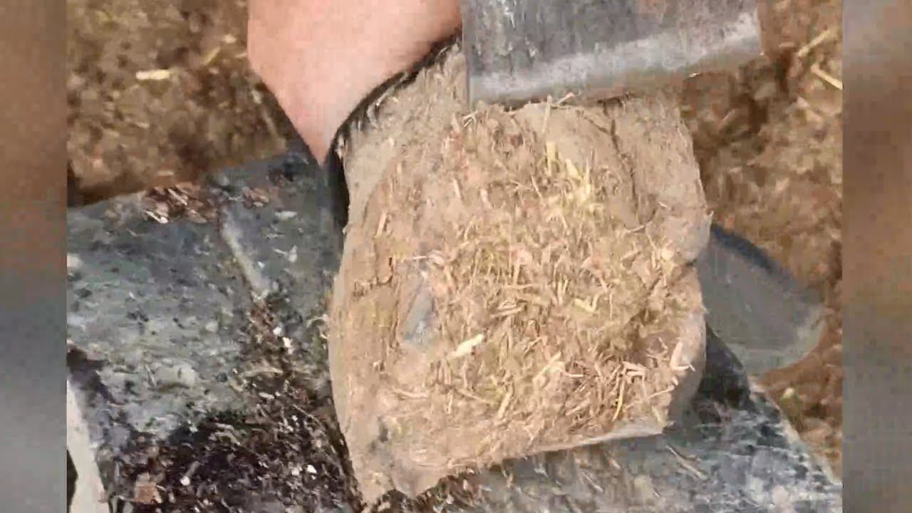 Oh my god, donkey hooves covered in impurities! Cut it off easily ...