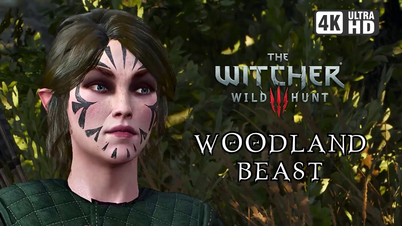 Woodland Beast | Book Geralt | The Witcher 3 : Wild Hunt - YouTube