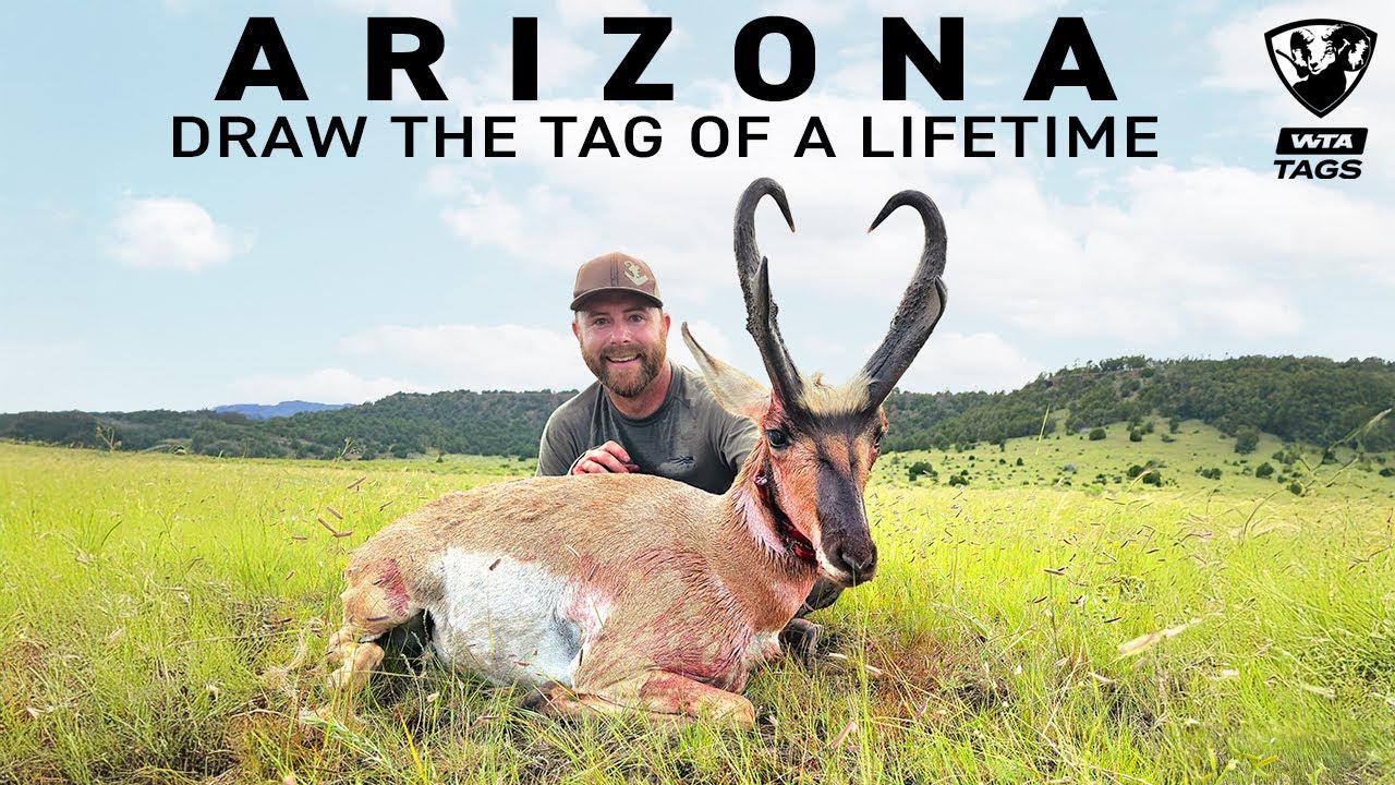 Arizona’s Best Elk & Antelope Tags – Draw the Tag of a Lifetime - YouTube