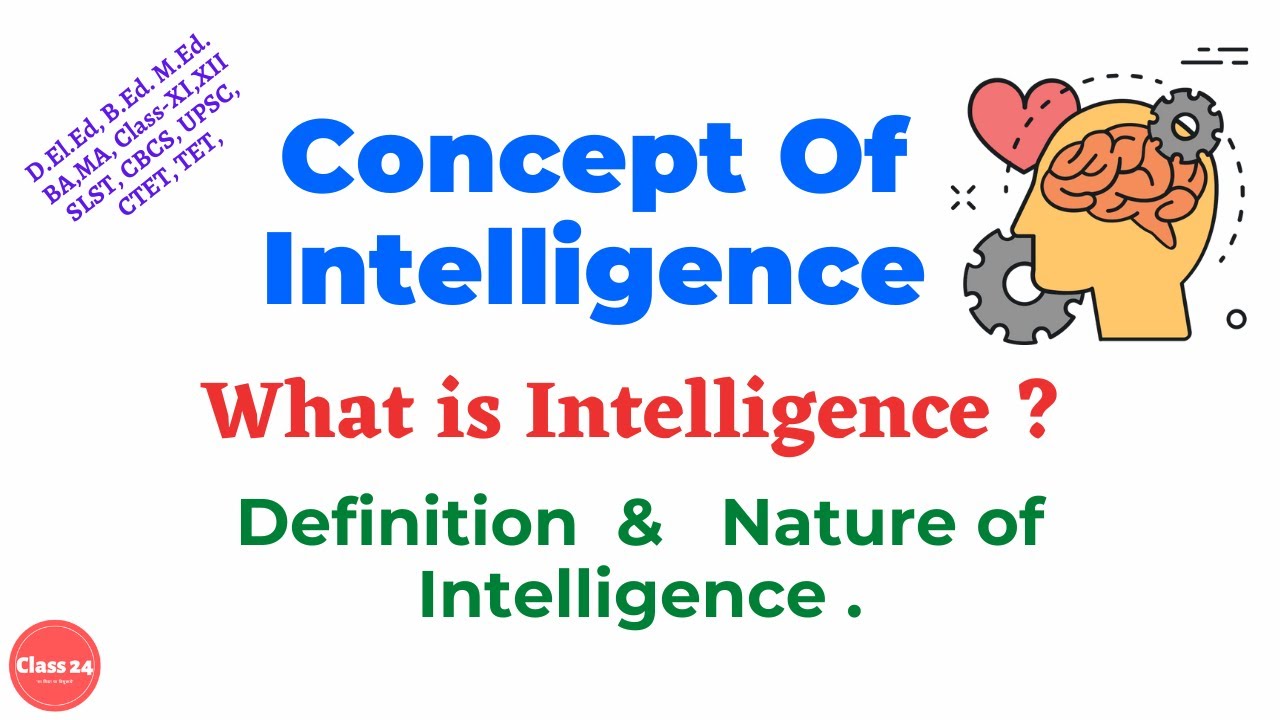 What Is Intelligence Definition Nature Of Intelligence YouTube