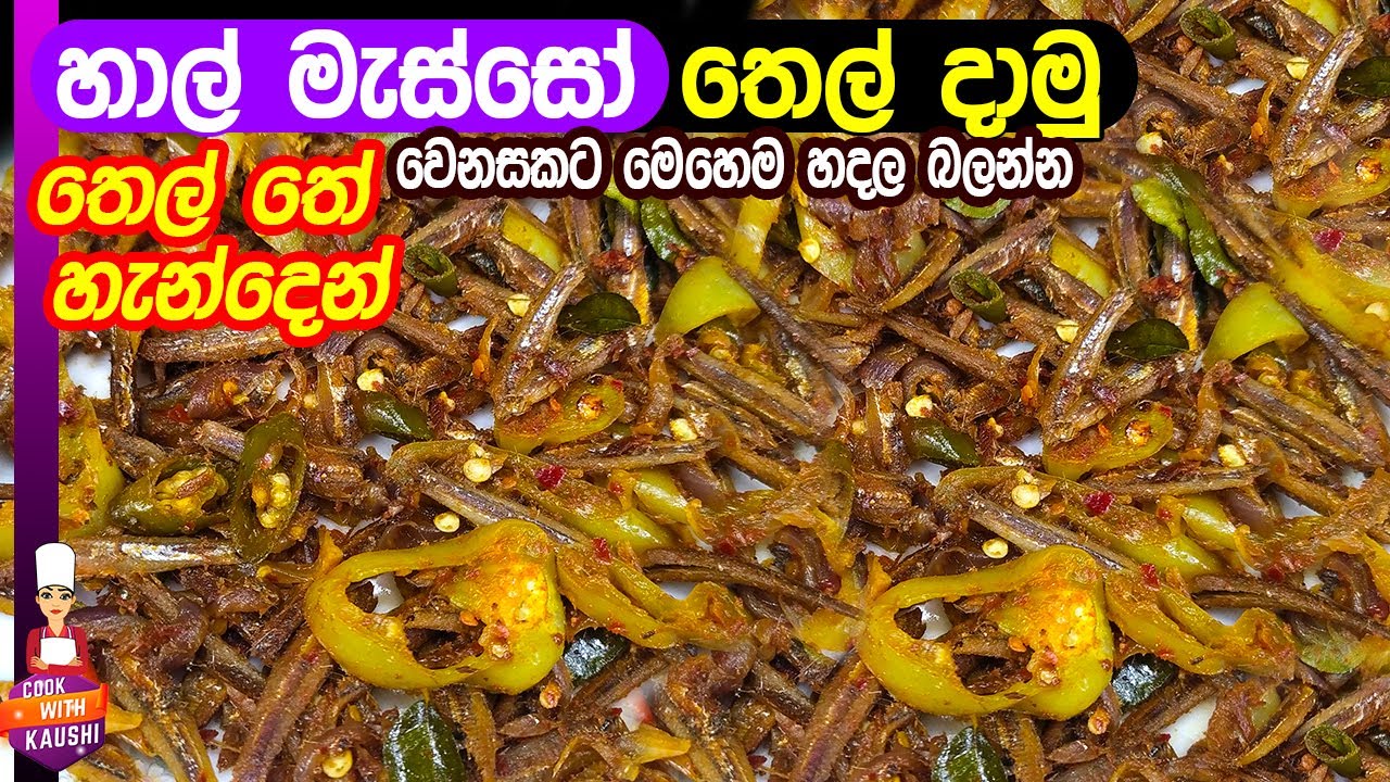 තෙල් තේ හැන්දෙන් හාල්මැස්සෝ රසට තෙල් දාමු | Halmasso Thel Dala Sinhala ...
