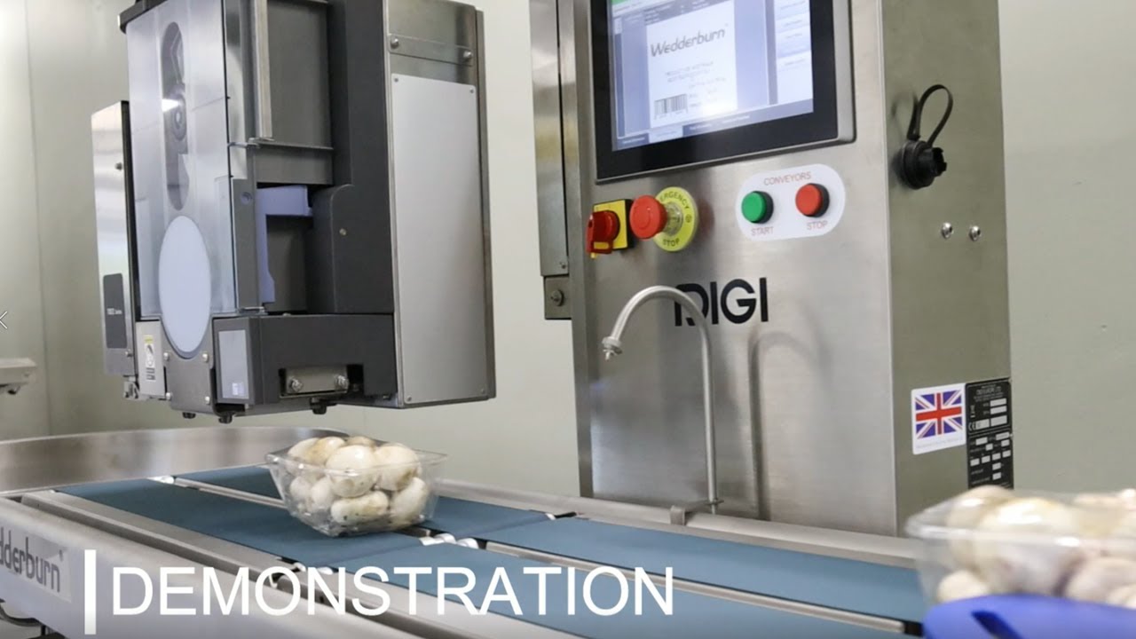 Labelling Equipment | TSLI700DTC In-Line Weigh Price Labelling System ...