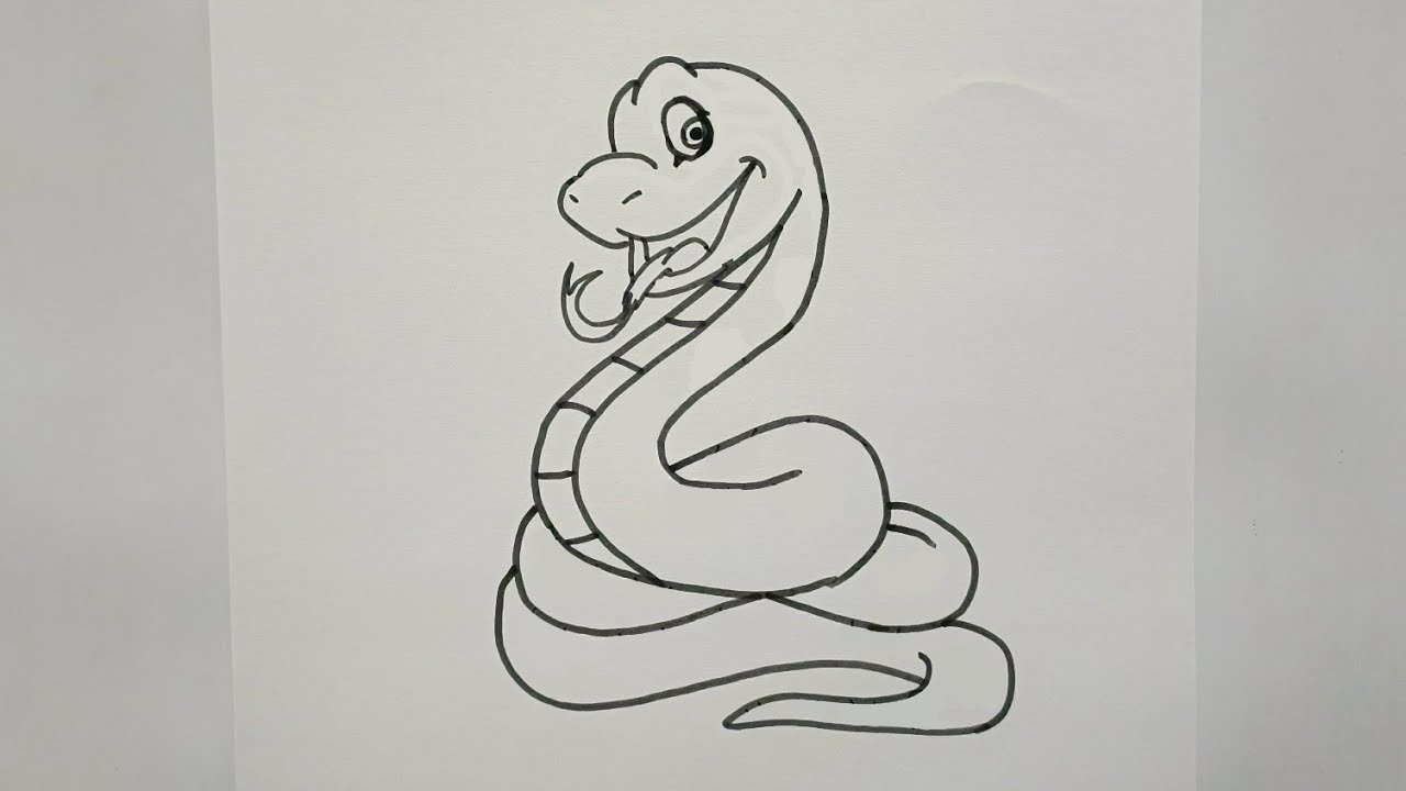 How to Draw Anaconda | Anaconda Drawing - YouTube