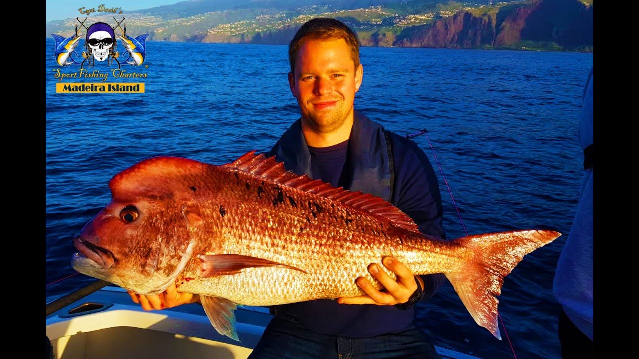 Double Header on the Dentex Fishing Madeira Island - YouTube