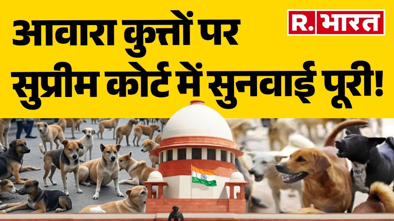 Delhi NCR Dog Attack Case Update : आवारा कुत्तों पर सुप्रीम कोर्ट में ...