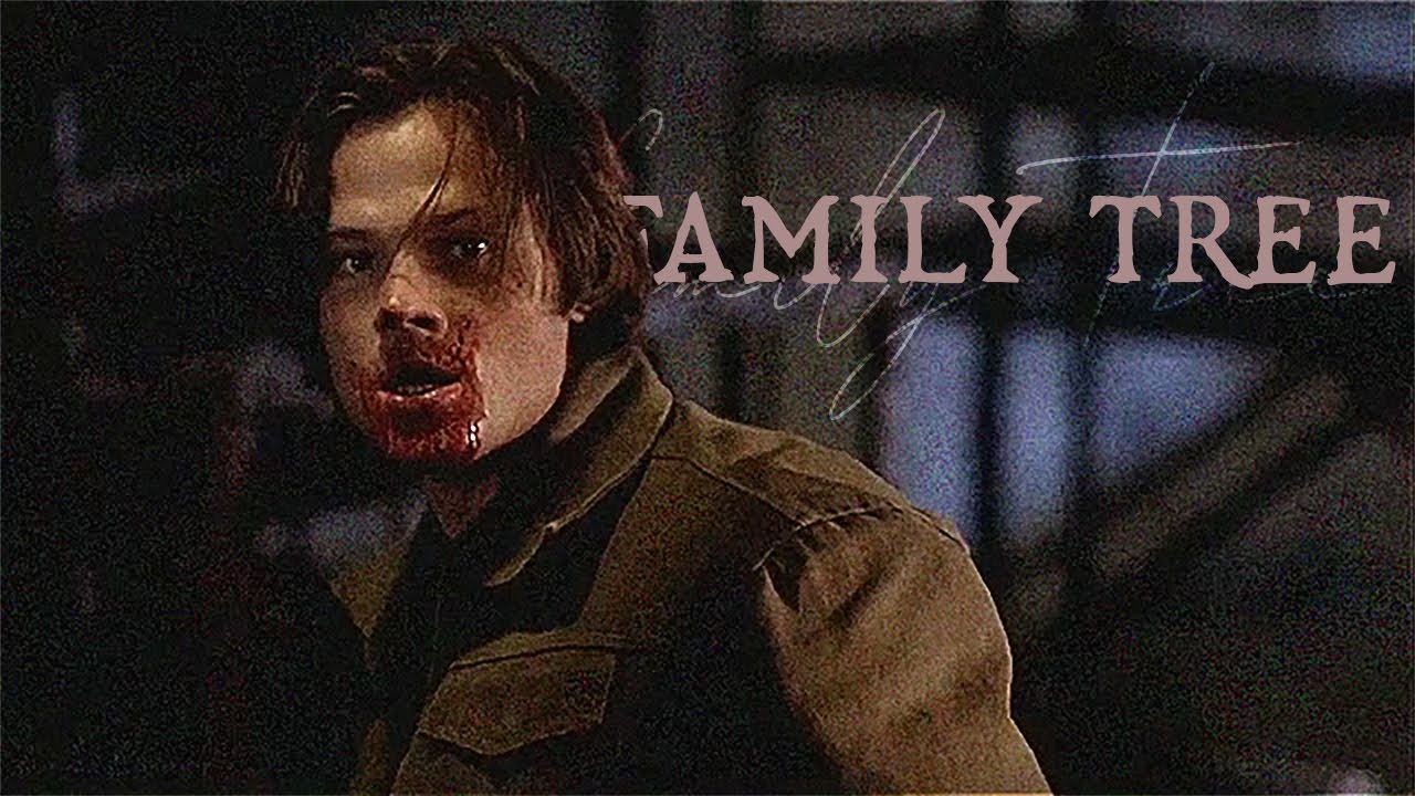 FAMILY TREE (INTRO) sam winchester - YouTube
