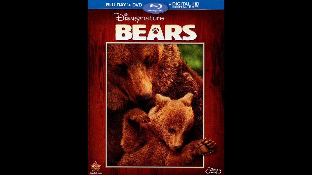 Bears 2014 DVD Opening - YouTube