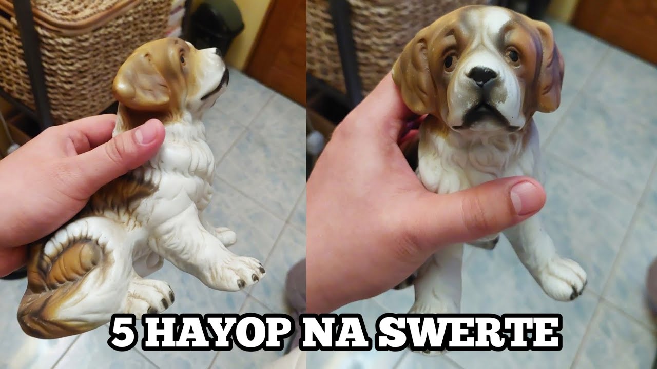 Swerte na Hayop sa Iyong buhay #swerte #hayop #animalsignhoroscope ...