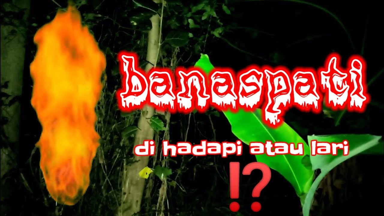 tempat ini dikuasai raja api #exploreduniaghaib - YouTube