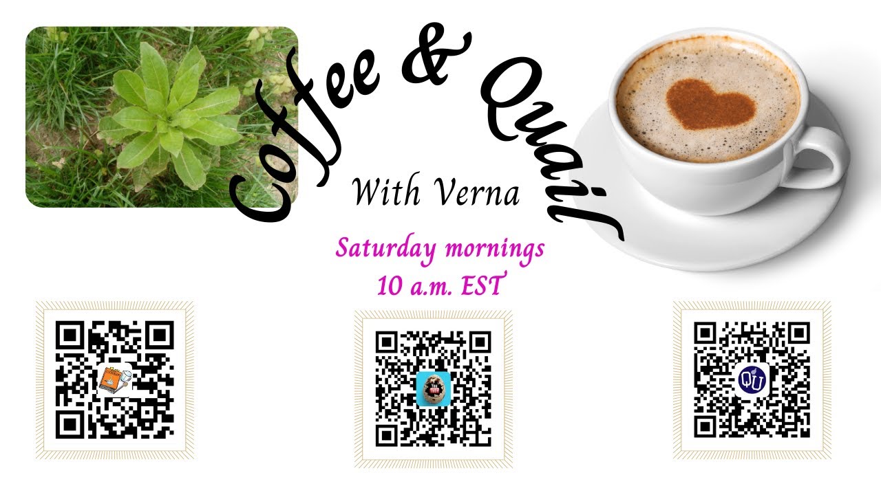 Coffee & Quail w/ Verna Weekly Saturday 10 a.m. EST - YouTube