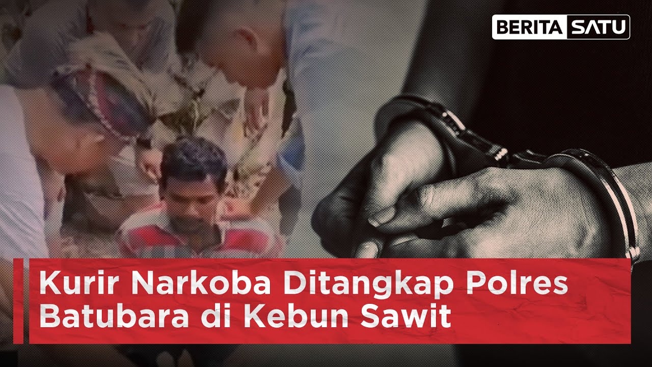 Kurir Narkoba Ditangkap Polres Batubara di Kebun Sawit | Beritasatu ...