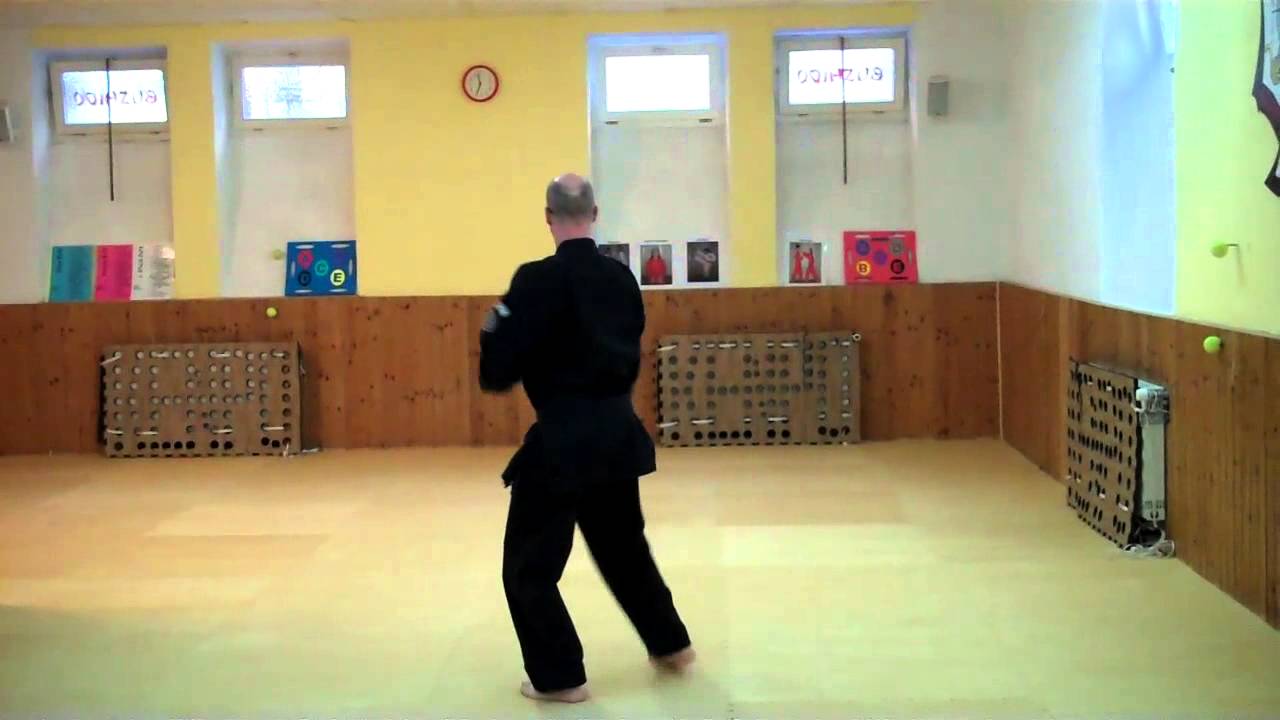 Kenpo-Karate Short Form 1 - YouTube